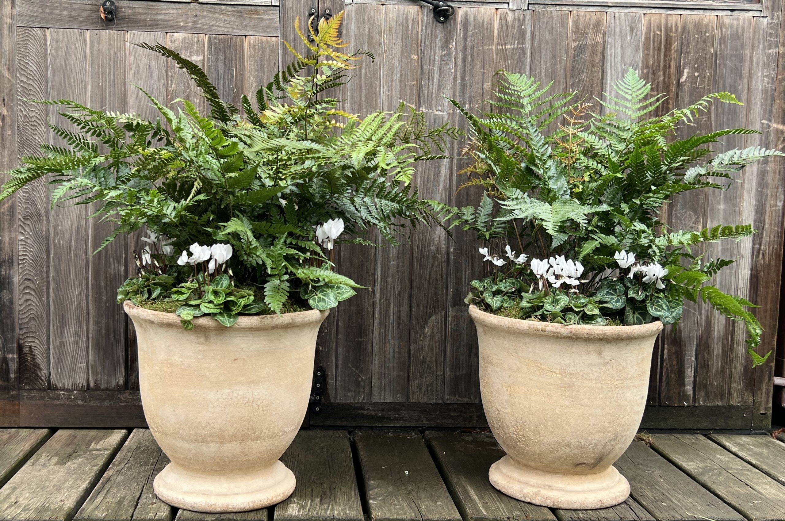 Gallery - Urban Bloom Planting